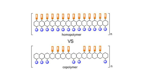 Homopolymer vs Copolymer: Key Differences and Applications Explained